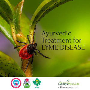 Sukhayu Ayurveda Hospital - Best Panchakarma Treatment